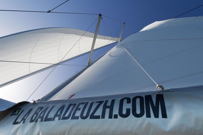 Full-day cruise with stopover on the island of Houat - Who Should Consider This Tour?