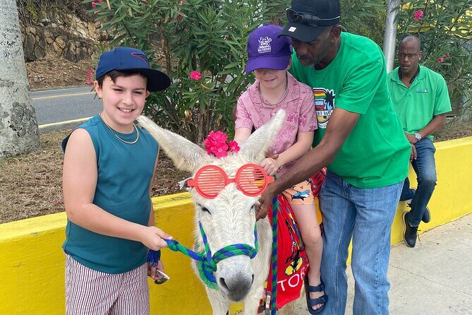 Full Day Cultural Jeep Beach Tour, St. Thomas & Water Island - Practical Details and Value