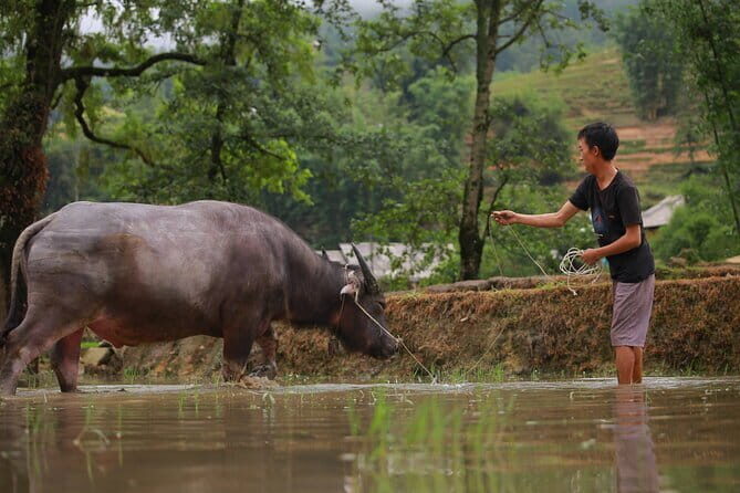 Full Day Cultural Tour in Sapa Terraces - Key Points