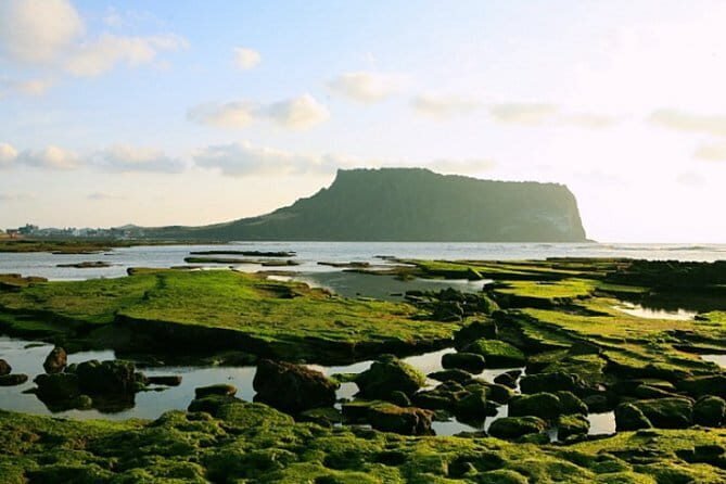 Full Day Customizable Jeju Private Tour with licensed tour guide - What Is This Tour About?