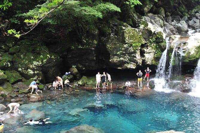 Full Day Customizable Jeju Private Tour with licensed tour guide - The Guide: Local Expertise Matters