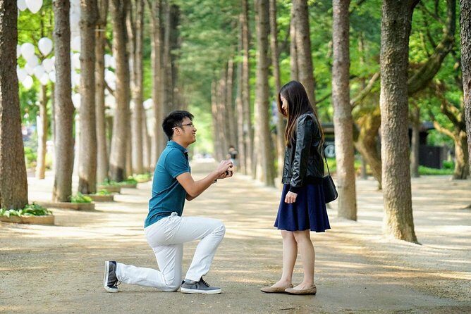 Full-Day Customizable Private Tour to Nami Island and surrounding Area - Key Points