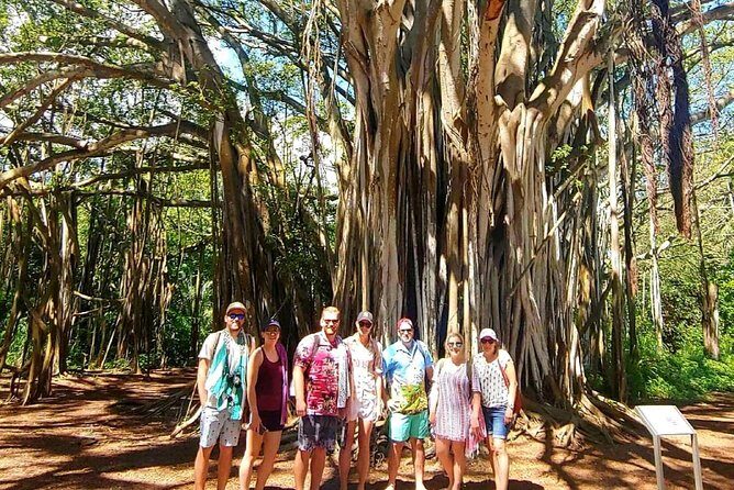 Full Day Customized North Shore Private Tour - Who Is This Tour Best For?