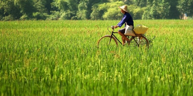Full-Day Cycling & Handcraft Workshop in Mai Chau Valley - Cycling Through Mai Chau