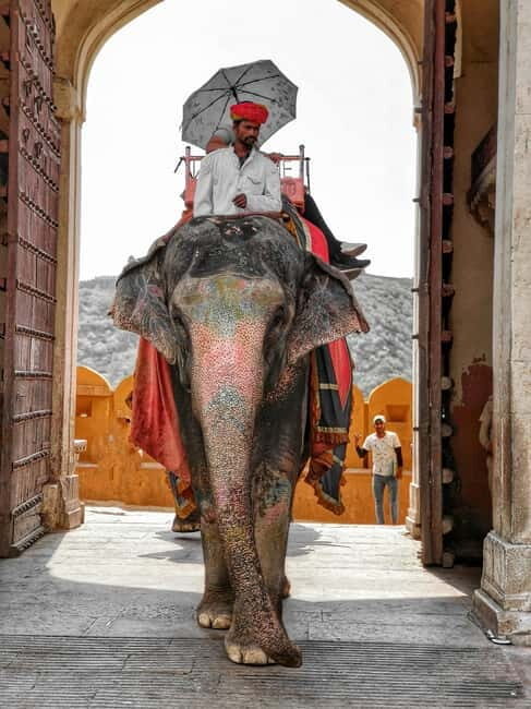 Full Day Delhi Siteseen Tour Including New Delhi & Old Delhi - Key Points