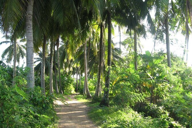 Full Day Deluxe Small Group Tour to Mekong Delta - FAQ