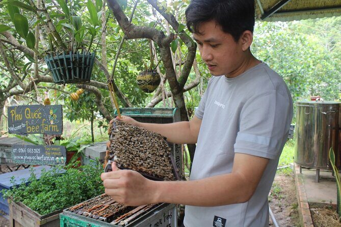 Full-Day Discover Northern Phu Quoc Island - A Deep Dive into the Northern Phu Quoc Tour