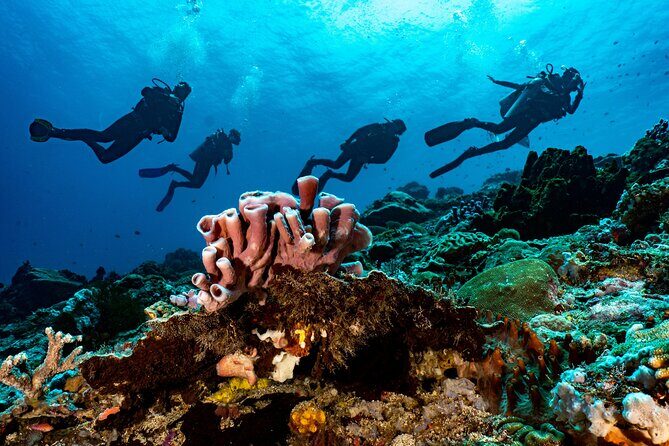 Full-Day Discover Scuba Diving Tour for Beginners in Tulamben - Who This Tour Is Best For