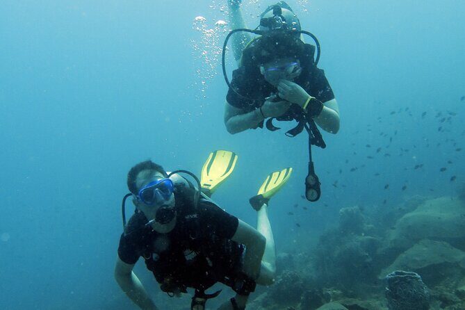 Full Day Diving Activity in Thailand with Lunch - Practical Details and Considerations