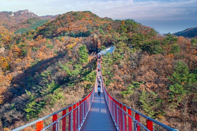 Full Day DMZ with Red Suspension Bridge Tour from Seoul - Who Should Consider This Tour?
