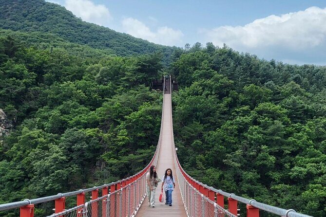 Full Day DMZ with Red Suspension Bridge Tour from Seoul - The Sum Up