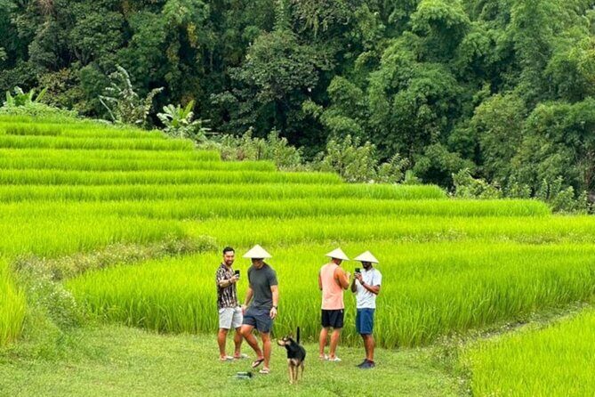 Full-Day Doi Inthanon National Park Tour with Trek and Pagodas - A Breakdown of the Doi Inthanon Adventure