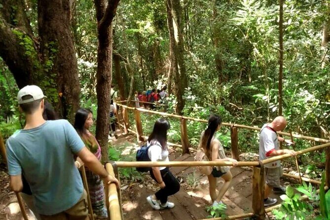 Full-Day Doi Inthanon National Park Tour with Trek and Pagodas - FAQ