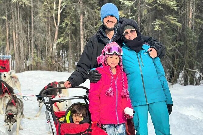Full Day "Drive Your Own Dog Team" Dog Sledding Tour - The Experience’s Value