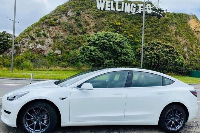 Full-Day Driver with Tesla Model 3-Customisable North Island Tour - Introduction
