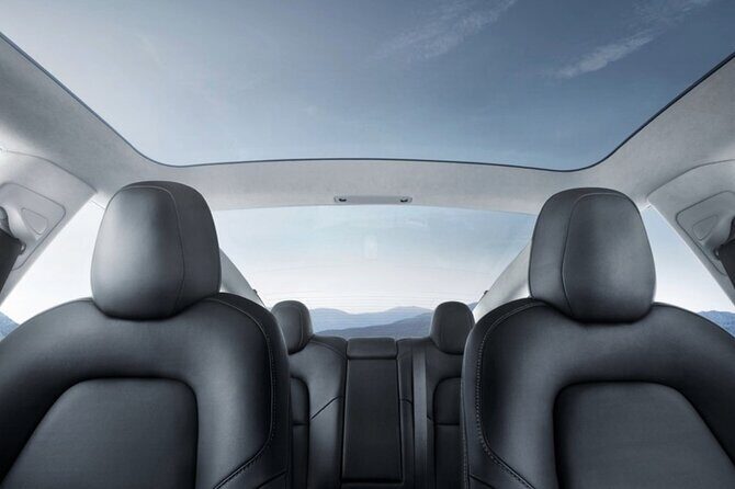 Full-Day Driver with Tesla Model 3-Customisable North Island Tour - Final Thoughts: Who Should Consider This Tour?