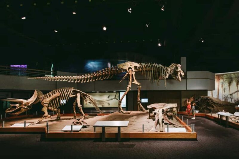 Full Day - Drumheller tour by Coach from Calgary - In-Depth Look at the Itinerary