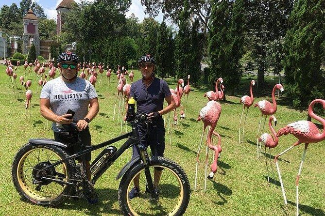 Full-day E-bike adventure Ping River and Nam Phrae (flat-hilly, GUIDED) - Key Points