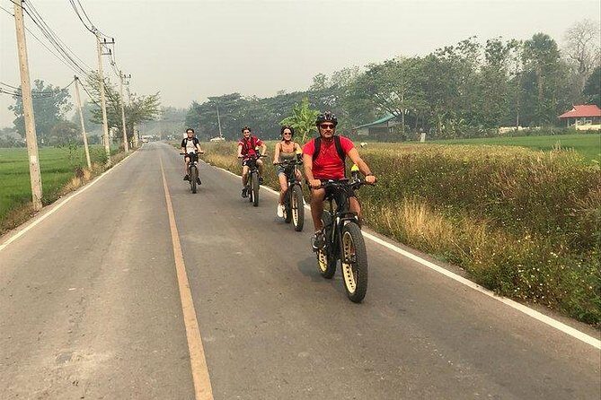 Full-day E-bike adventure Ping River and Nam Phrae (flat-hilly, GUIDED) - What Do Travelers Say?