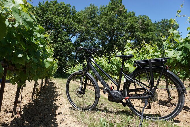 Full day E-Bike rental in the Luberon - Why Choose This E-Bike Tour?