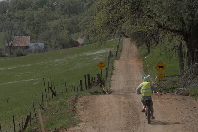 Full Day E-biking in the Sierra Foothills (Mariposa) - Introducing the Full Day E-biking in the Sierra Foothills (Mariposa)