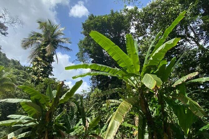 Full Day Eastern Island Tour - Who Will Love This Tour?