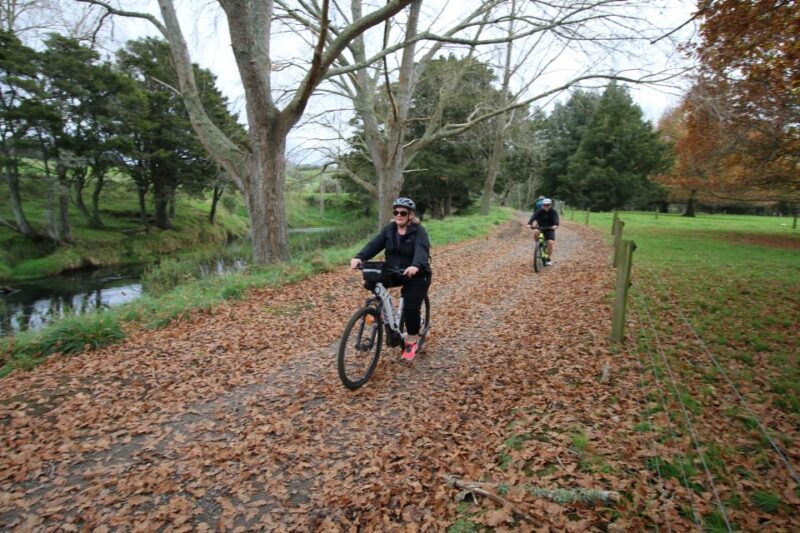 Full Day Ebike Tour - Karangahake Gorge NZ - Who Will Love This Tour?