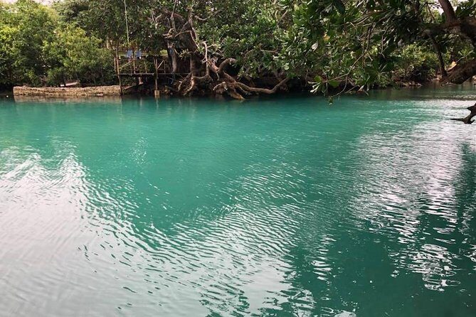 Full-Day Efate Round Island Trip with Yumi Tours - Detailed Breakdown of the Efate Round Island Tour
