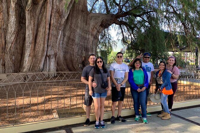 Full-Day El Tule, Mitla & Hierve el Agua Tour from Oaxaca - Practical Tips for This Tour