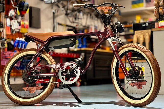 Full Day Electric Bike Rental in Galveston Texas - Why Consider This Electric Bike Experience?