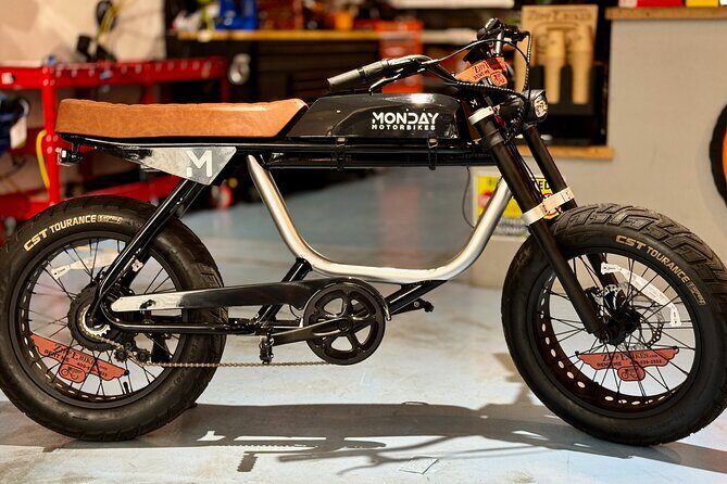 Full Day Electric Bike Rental in Galveston Texas - Who Will Love This Experience?