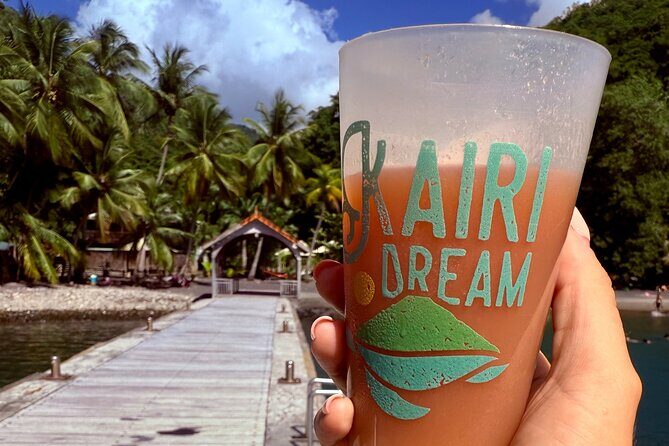 Full day EN Catamaran Martinique Dolphins and Turtles - A Detailed Look at the Full Day Catamaran Experience