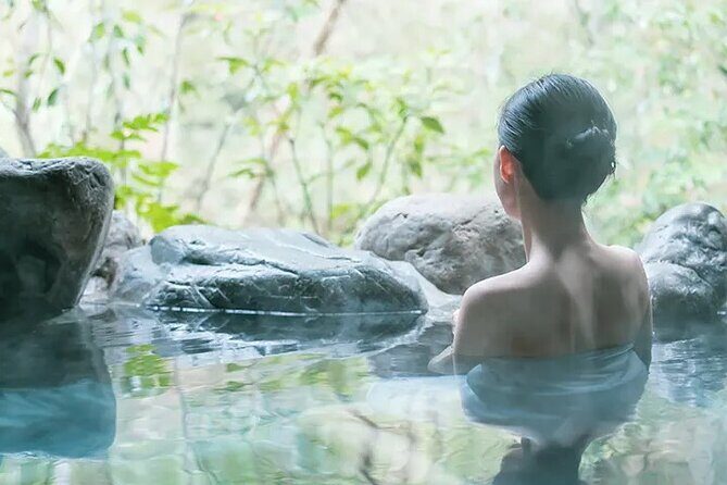 Full-Day Enoura Observatory and Hakone Hot Spring Private Tour - Who Is This Tour For?