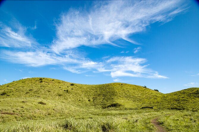 Full Day Essential Jeju Island Private tour for West Course - The Value of the Experience