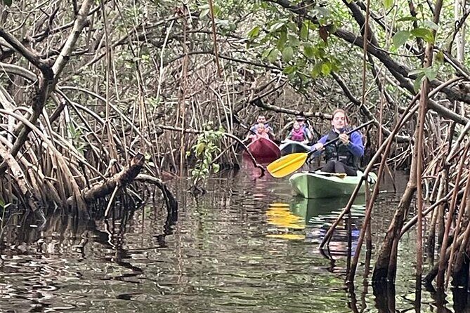 Full Day Everglades Combo Motorboat Eco and Kayak Tour - What Travelers Love About This Tour