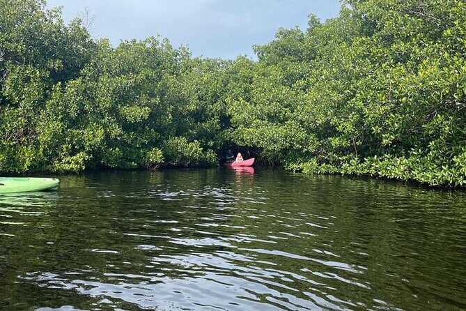 Full Day Everglades Combo Motorboat Eco and Kayak Tour - FAQ