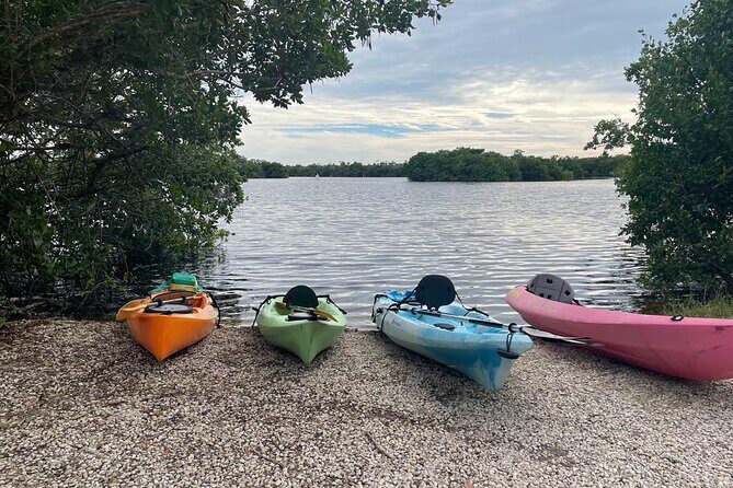 Full Day Everglades Combo Motorboat Eco and Kayak Tour - Final Word