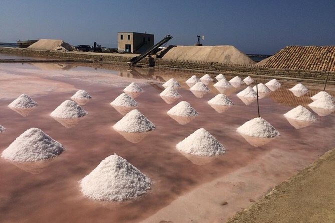 Full Day Exclusive Excursion to Segesta, Erice & Trapani Salt Flats from Palermo - Drawbacks and Considerations
