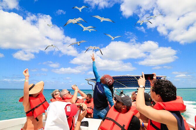 Full Day Excursion to Isla Saona from Santo Domingo - What Travelers Say