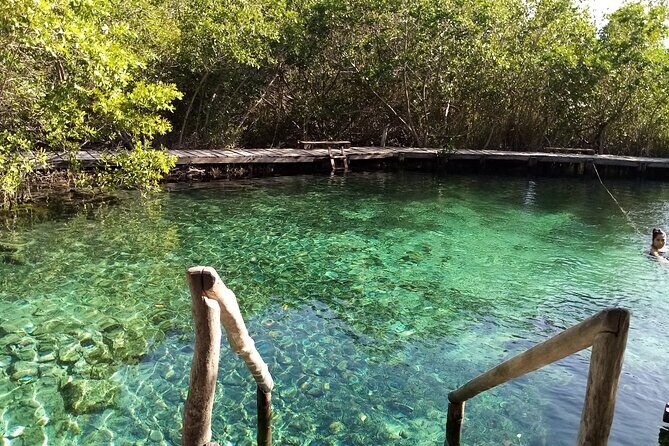 Full Day Excursion to the Best of Holbox From Riviera Maya - The Experience for Different Travelers