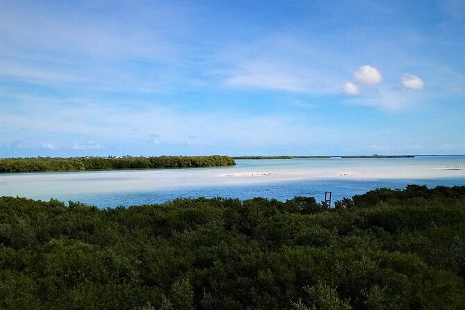 Full Day Excursion to the Best of Holbox From Riviera Maya - FAQ