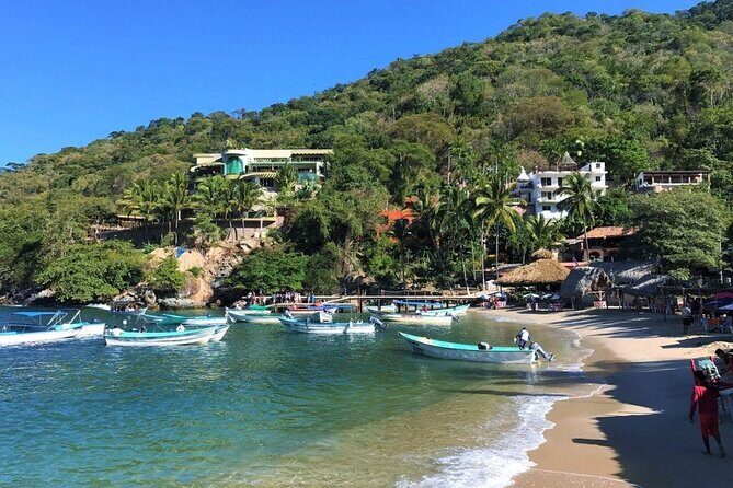 Full-Day Experience in Banderas Bay - Introduction to Banderas Bay: What to Expect