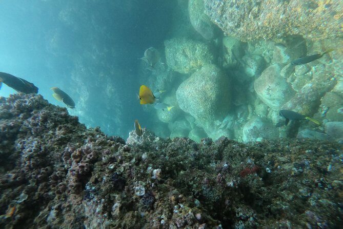 Full-Day Experience in Banderas Bay - Who Will Love This Tour?