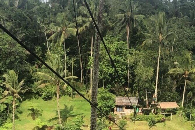 Full day Experience the beauty and flavors of Bali private tour - The Practicalities: What to Expect