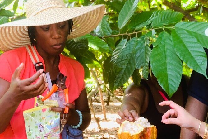 Full Day Experience to Farm and Chocolate - Shopping and Coffee Breaks