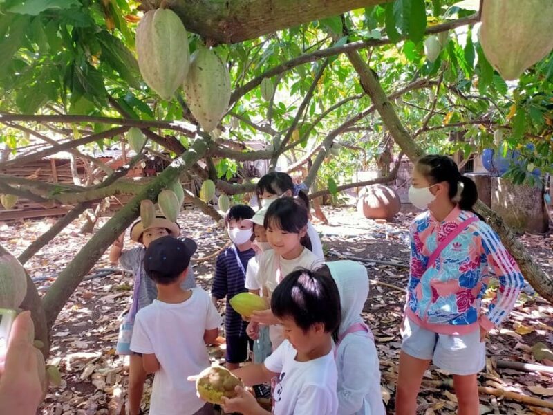 Full Day Experience to Farm and Chocolate - Cafe & Souvenir Shopping: Cacao-Inspired Delights
