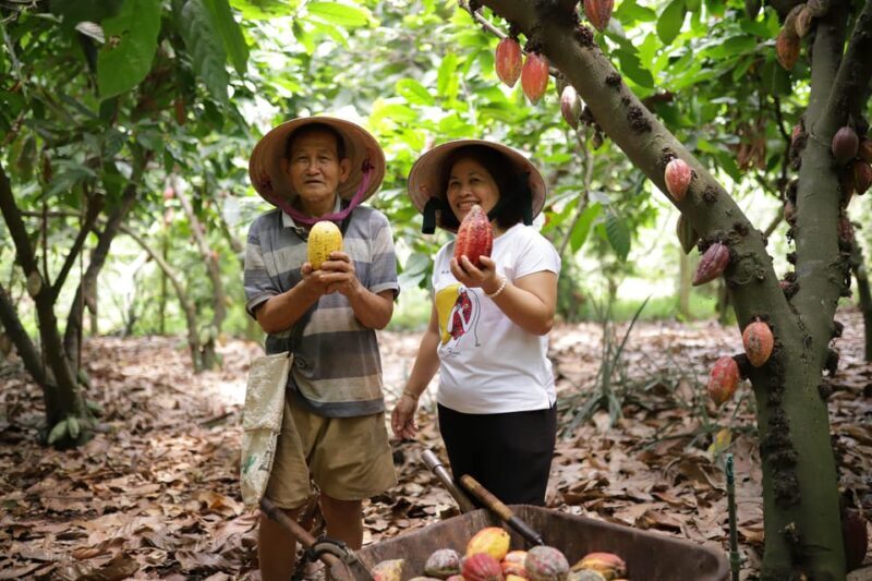 Full Day Experience to Farm and Chocolate - Wrapping Up & Return Journey