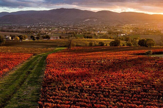 Full day experience | Umbria wine tasting and SPA relax - The Itinerary in Detail