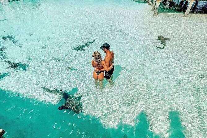 Full Day Exuma Swimming Pigs - Group Boat Tour From Nassau - Who Should Consider This Tour?