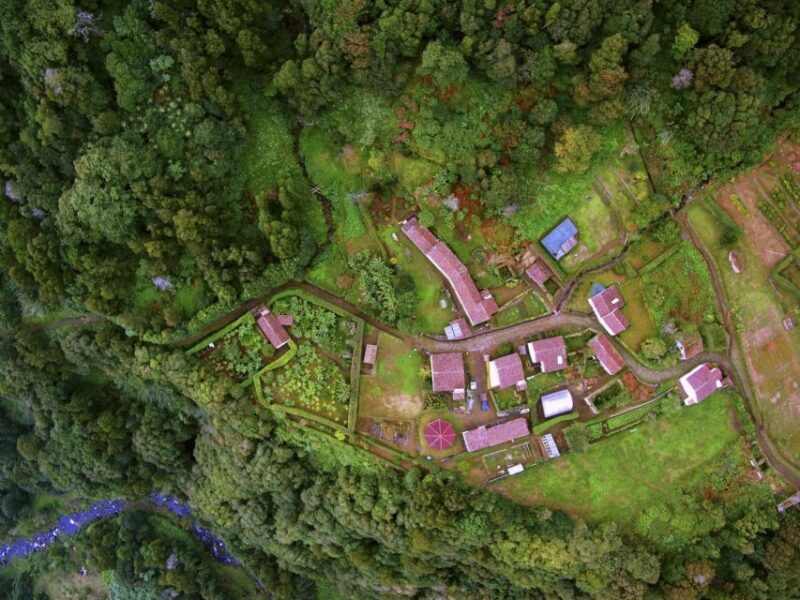 Full-Day Faial da Terra + Nordeste from Ponta Delgada - Who Should Consider This Tour?
